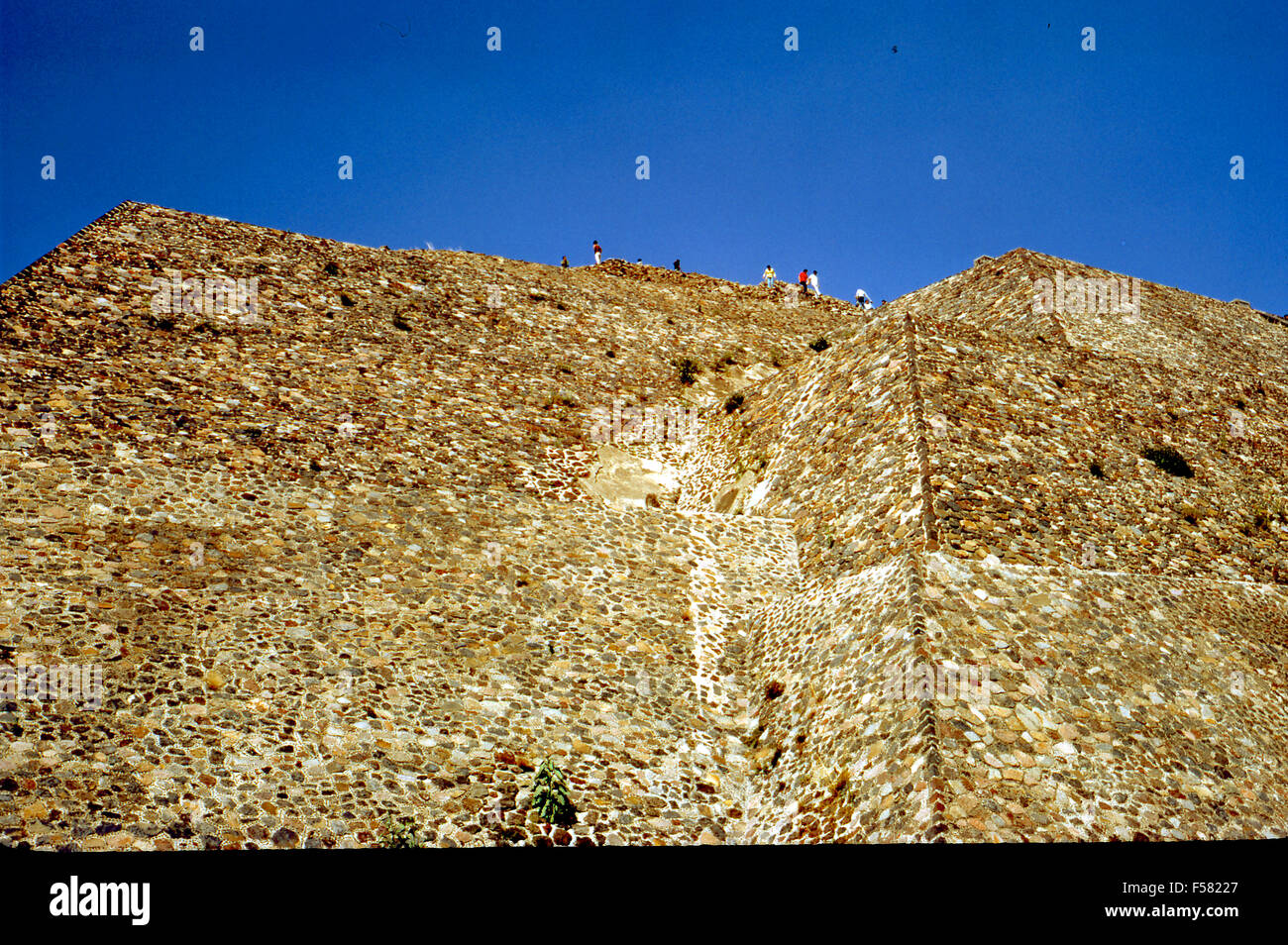 Symétrie bilatérale Banque de photographies et d’images à haute ...