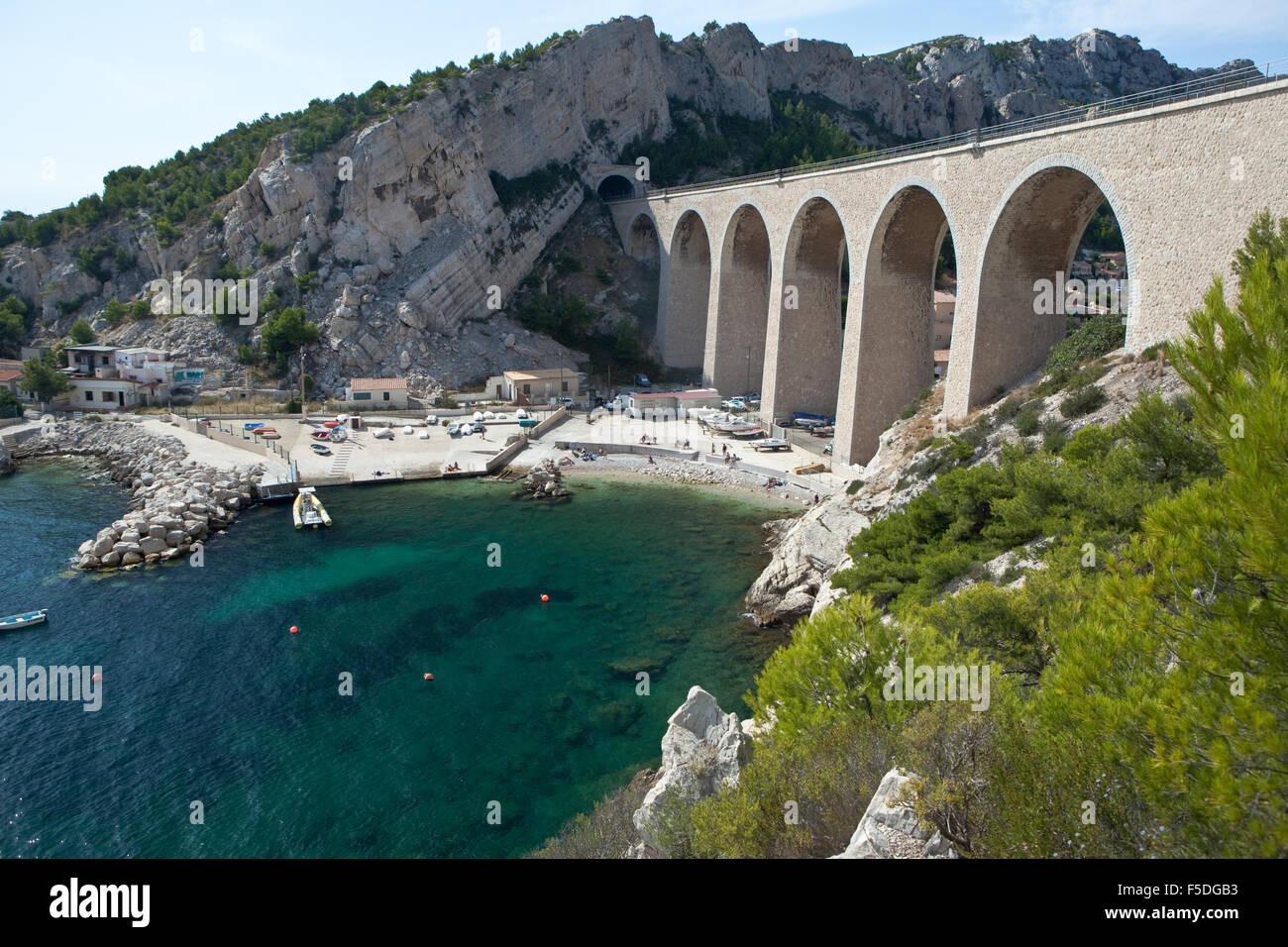 La vesse Banque de photographies et d’images à haute résolution - Alamy