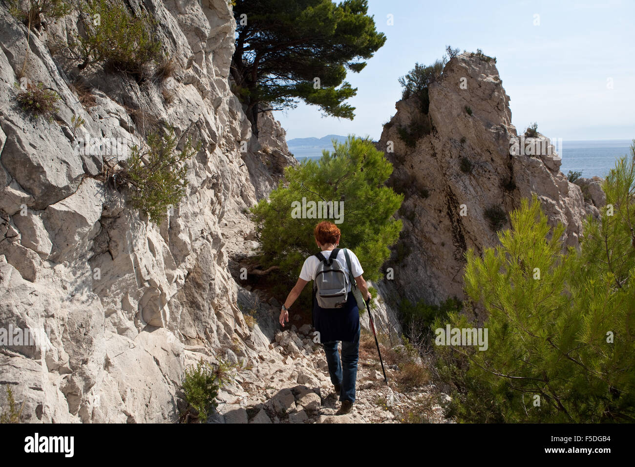 La vesse Banque de photographies et d’images à haute résolution - Alamy