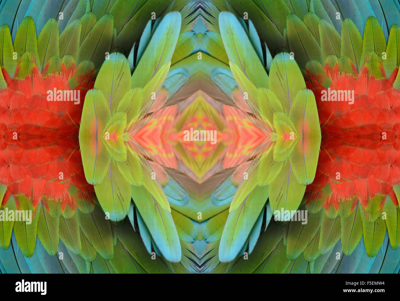 Beau vert-winged Macaw (Ara chloropterus) retour feather Photo Stock ...