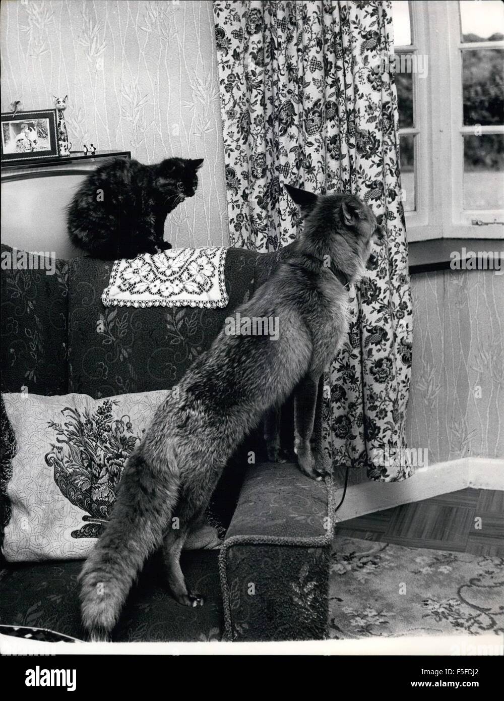 1957 keystone pictures usa Banque de photographies et d’images à haute ...