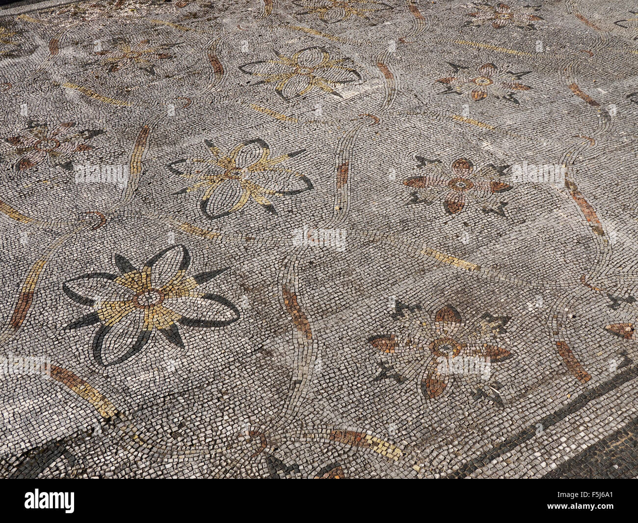 Romain bien conservé dans le sol en mosaïque d'Ostia Antica fouilles ...