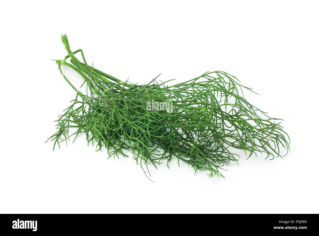 Aneth frais Banque de photographies et d’images à haute résolution - Alamy