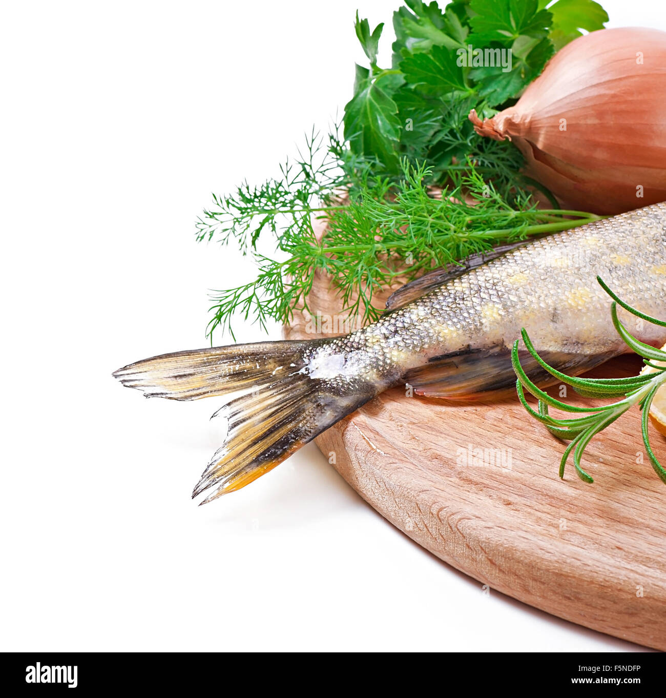 Poisson de queue Banque de photographies et d’images à haute résolution ...