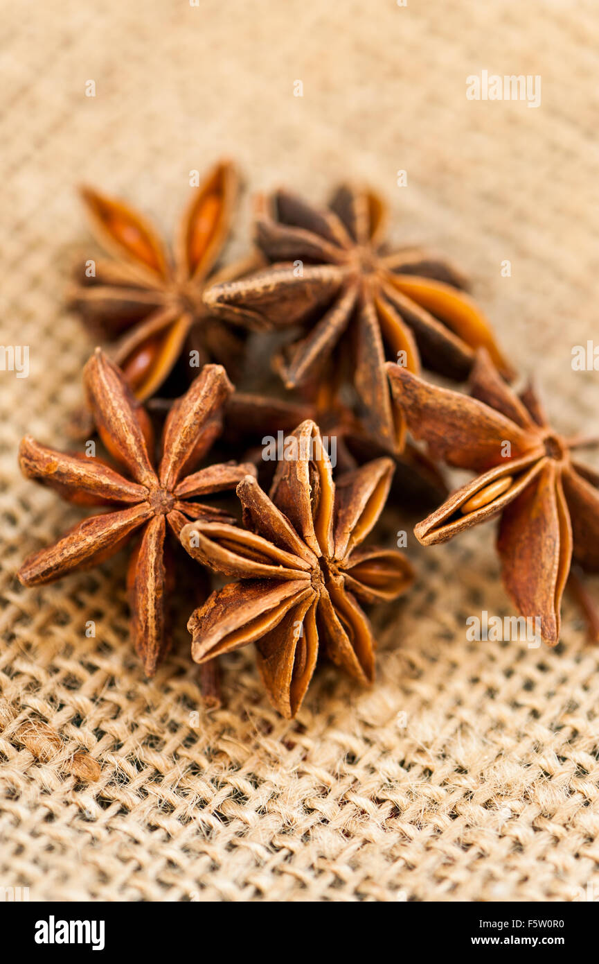 Anis gras Banque de photographies et d’images à haute résolution - Alamy