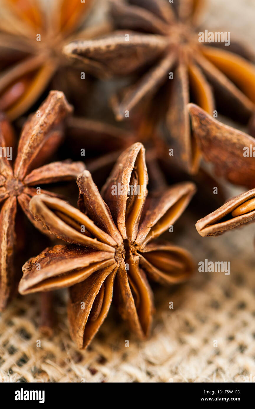 Anis gras Banque de photographies et d’images à haute résolution - Alamy