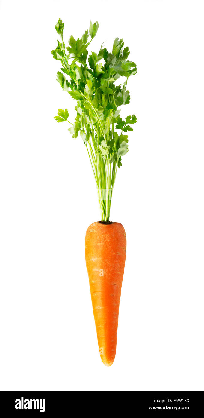 Carotte rouge Banque de photographies et d’images à haute résolution ...