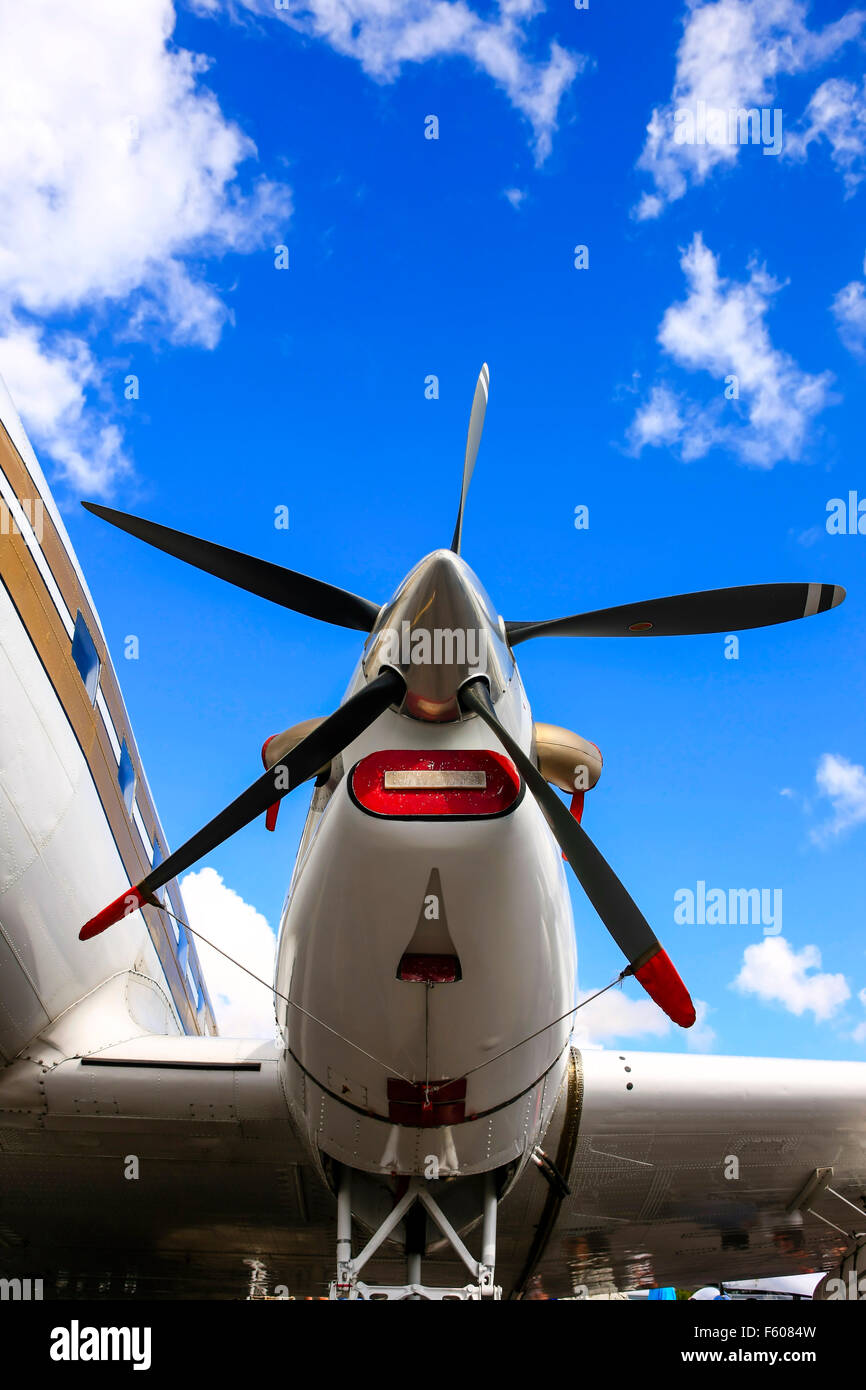 Close up d'un Pratt & Whitney Canada PT6A-65R sur un moteur ...