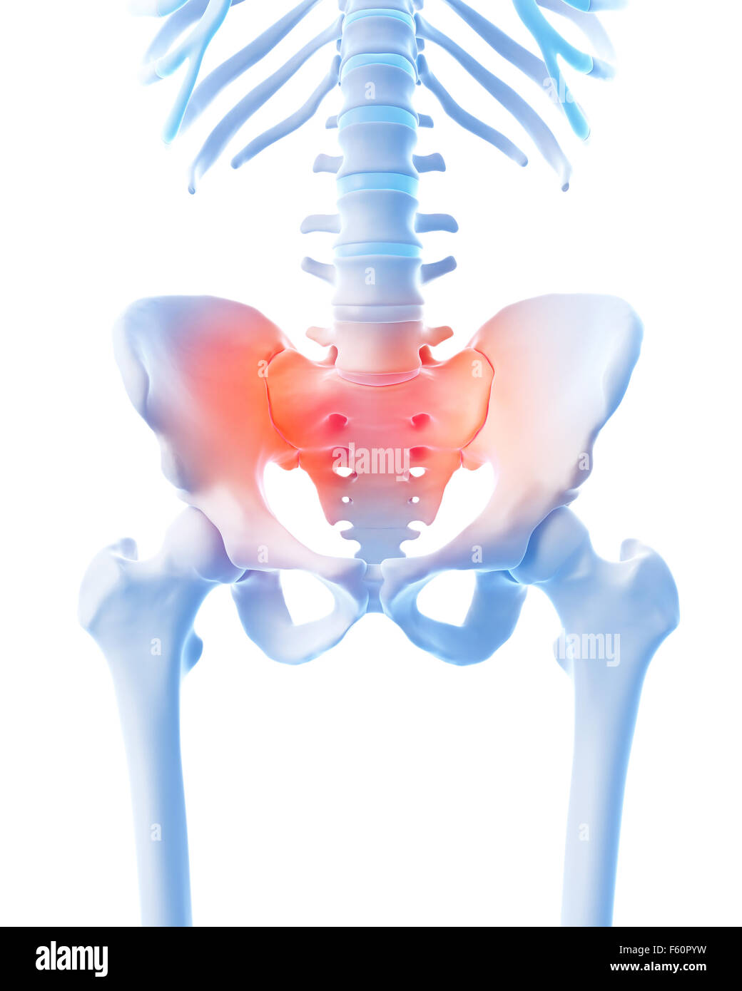 Douleur du sacrum humain Banque de photographies et d’images à haute ...