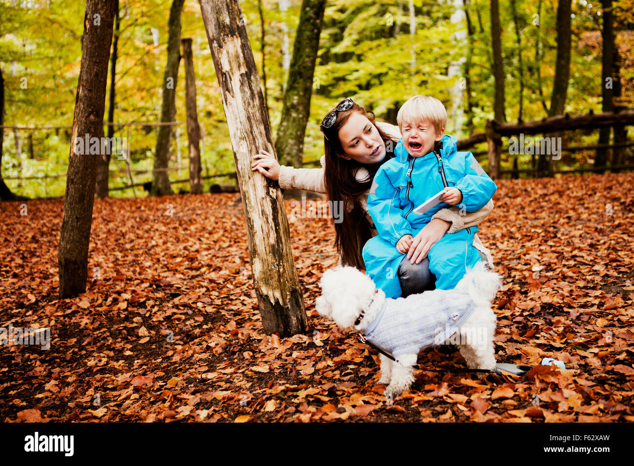 Femme qui pleure en foret Banque de photographies et d’images à haute ...