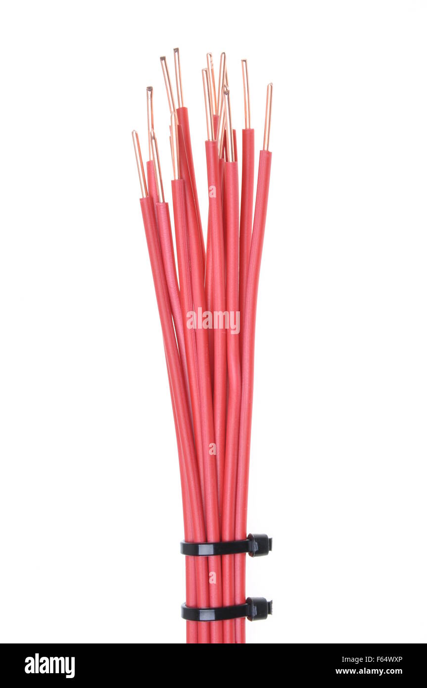 Câble en cuivre avec des attaches de câble utilisé dans les ...