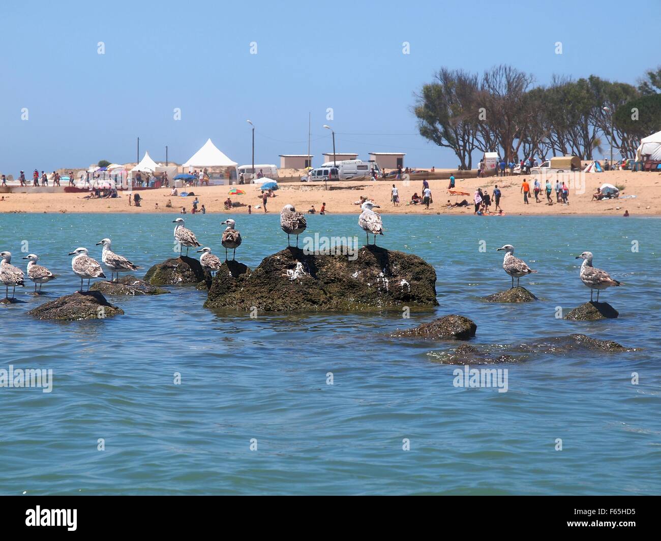 Larache morocco Banque de photographies et d’images à haute résolution ...