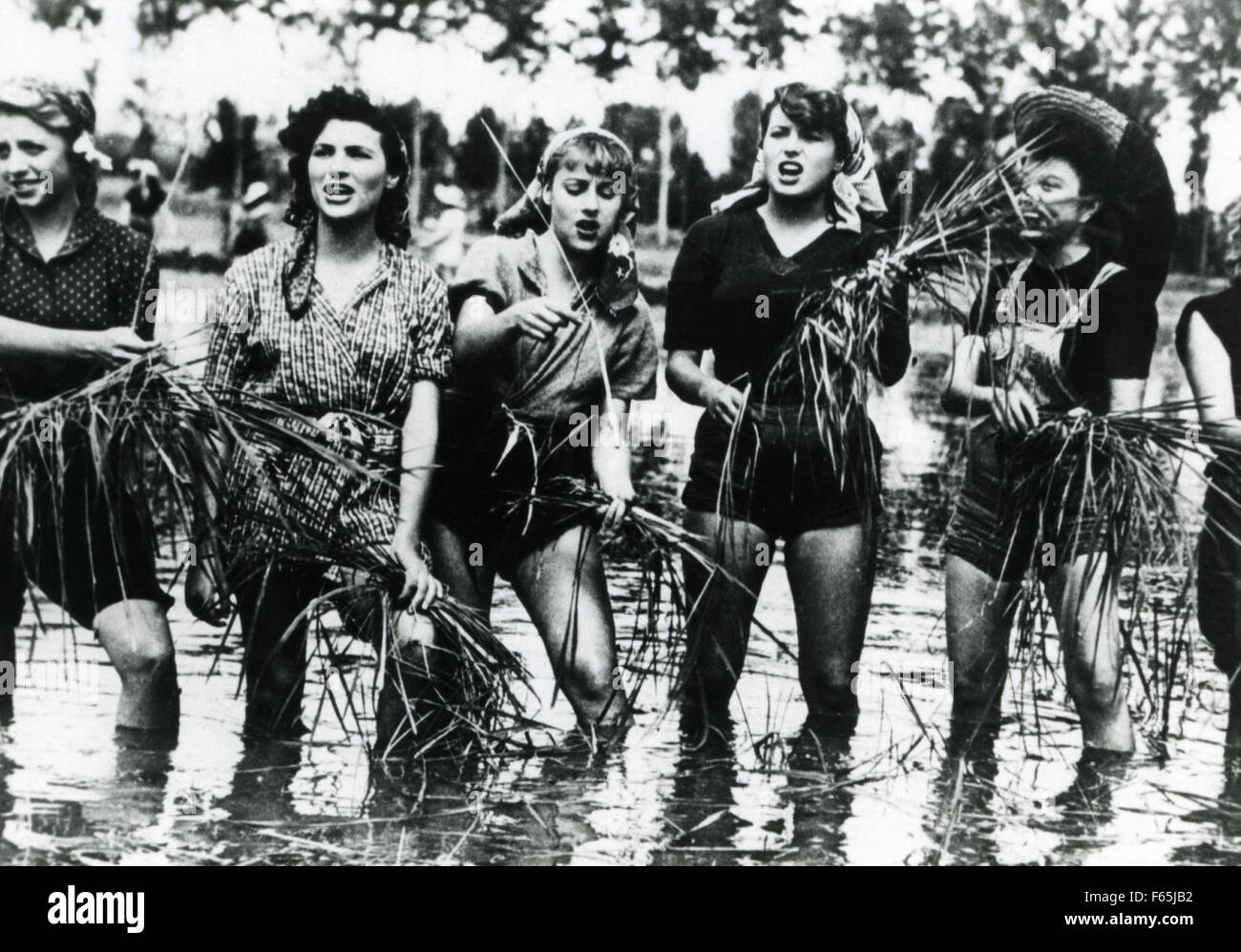 Lia corelli Banque de photographies et d’images à haute résolution - Alamy