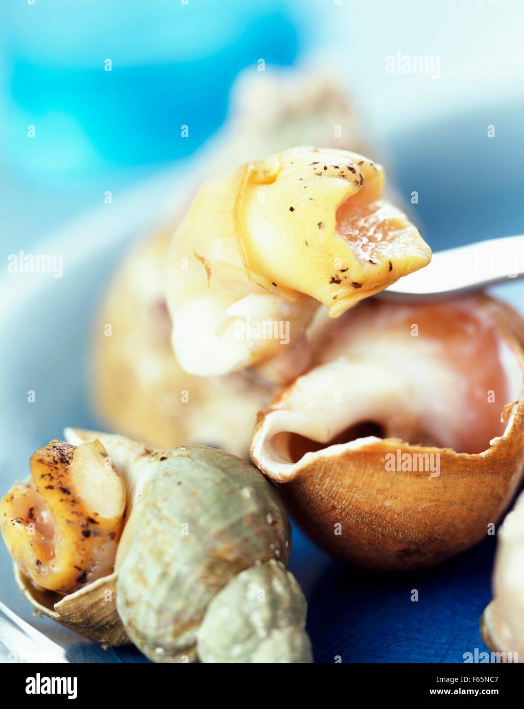 Bulots cuits Banque de photographies et d’images à haute résolution - Alamy