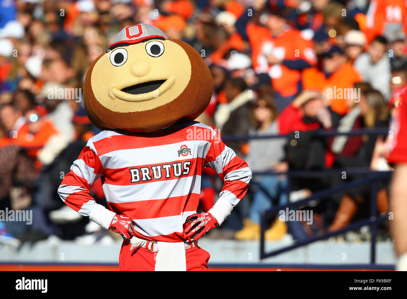 Bucky mascot Banque de photographies et d’images à haute résolution - Alamy
