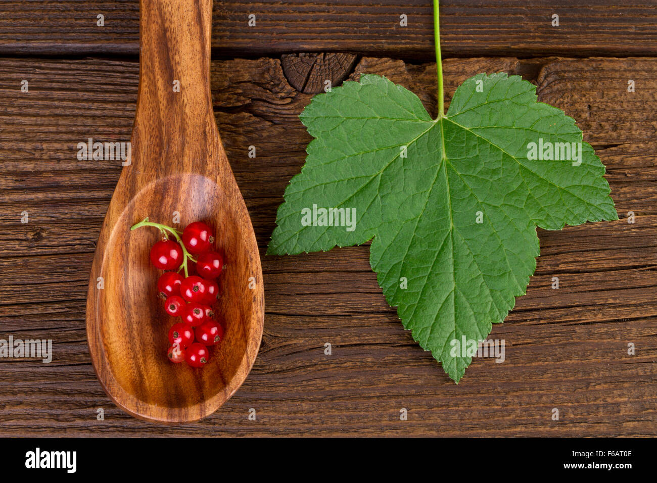 Feuille de groseiller Banque de photographies et d’images à haute ...
