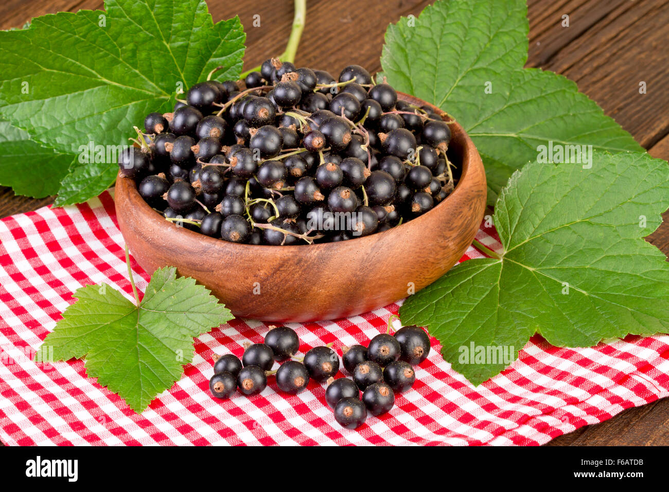 Feuille de cassis Banque de photographies et d’images à haute ...