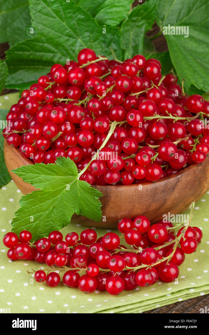 Feuille de groseiller Banque de photographies et d’images à haute ...