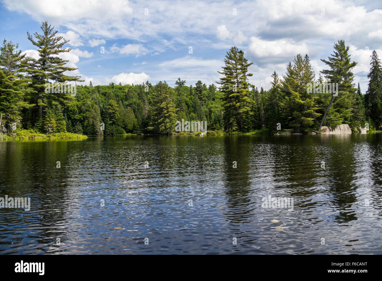 Parc algonquin ontario Banque de photographies et d’images à haute ...