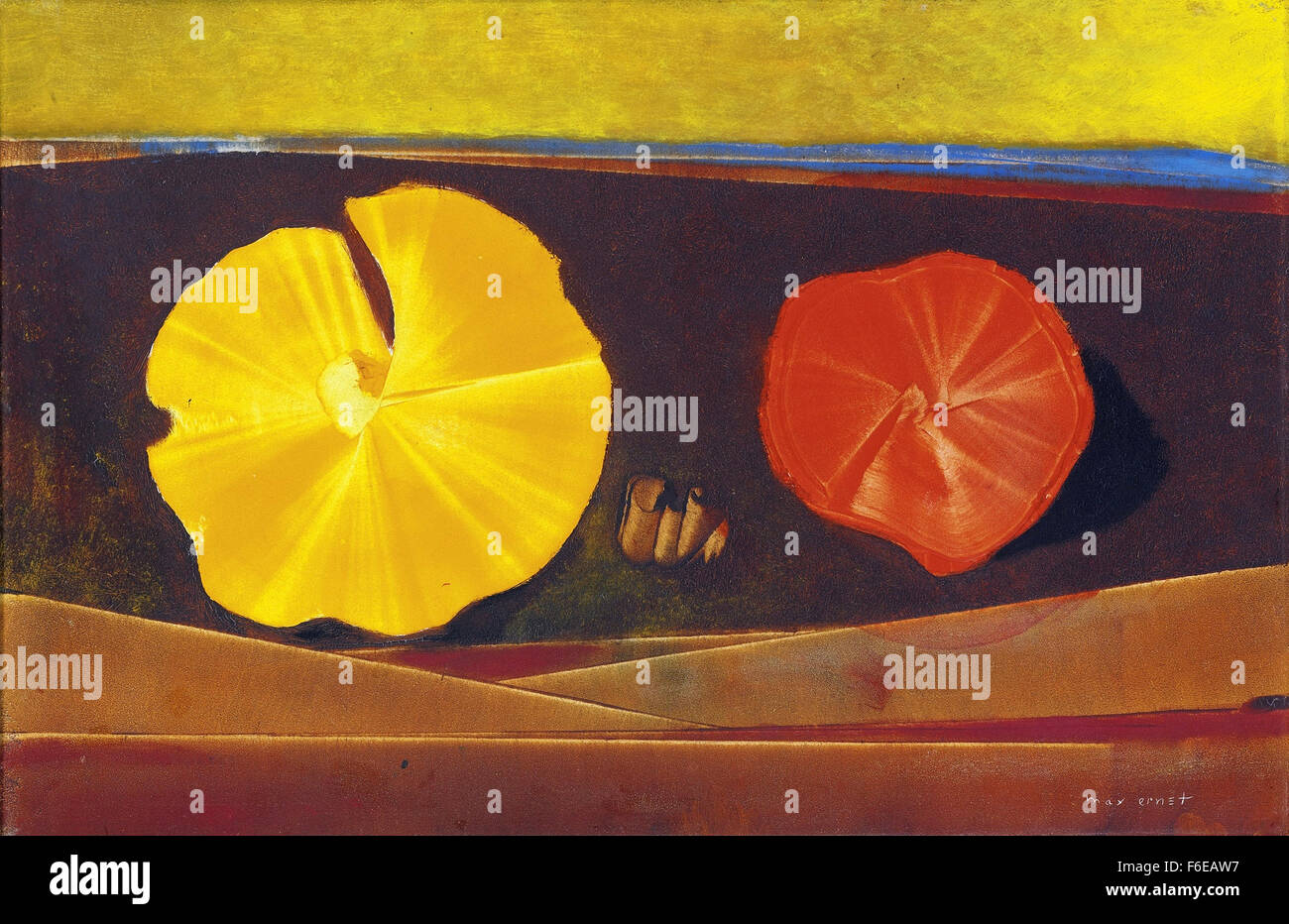 Max Ernst - Still Life Photo Stock - Alamy