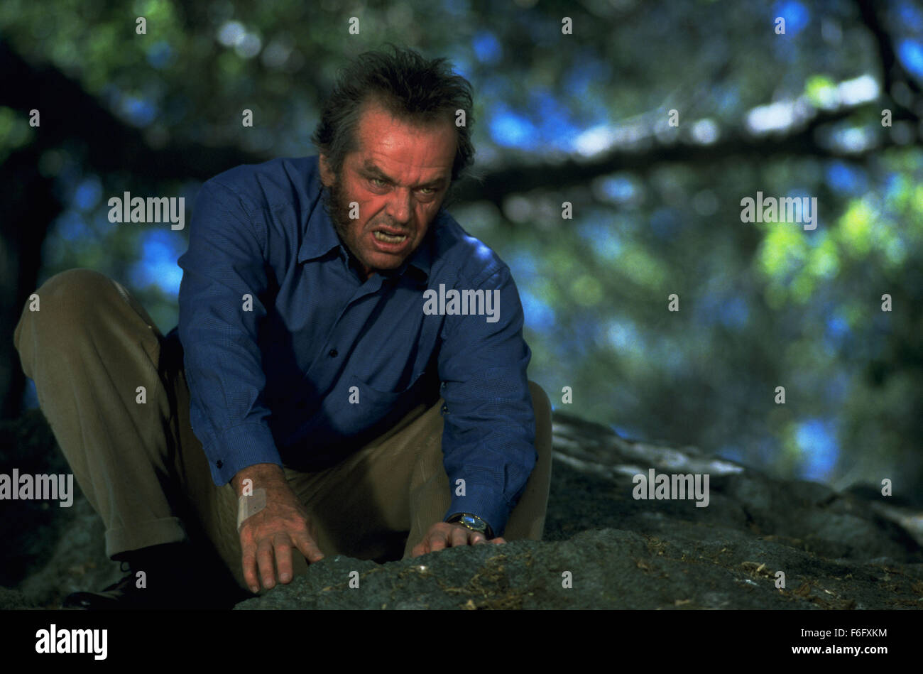 Loup 1994 jack nicholson Banque de photographies et d’images à haute ...