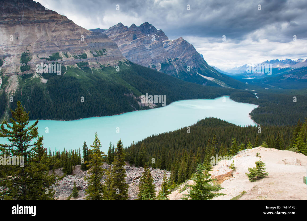 Parc national du lac peyto banff Banque de photographies et d’images à ...