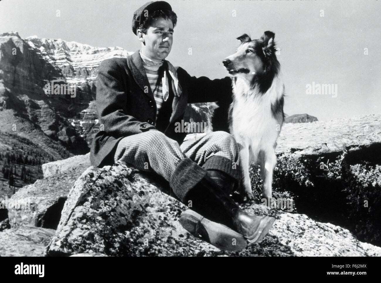 1945, le titre du film : FILS DE LASSIE, Directeur : SYLVAN SIMON, Studio : MGM, Photo : LES ...