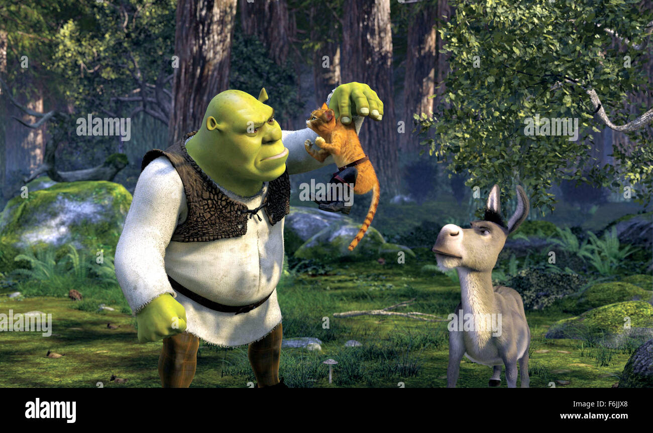 DATE DE SORTIE : 19 mai 2004. Titre du film : Shrek 2. STUDIO ...