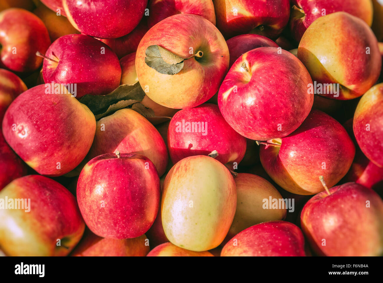 Boisseau de pommes Banque de photographies et d’images à haute ...