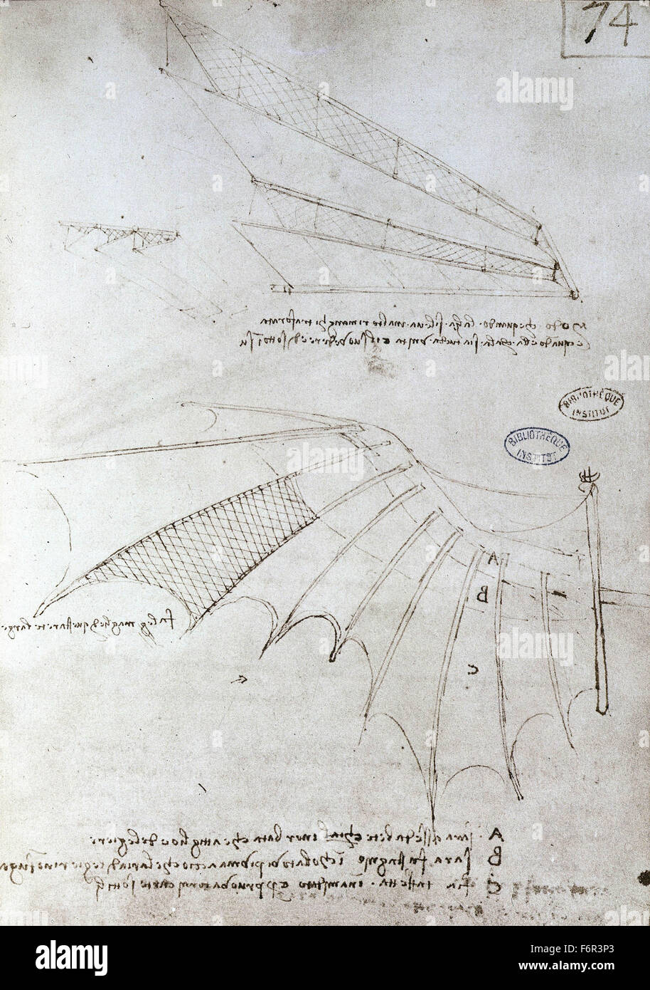 Leonardo da Vinci - dimensions d'une machine volante (aile Photo Stock ...