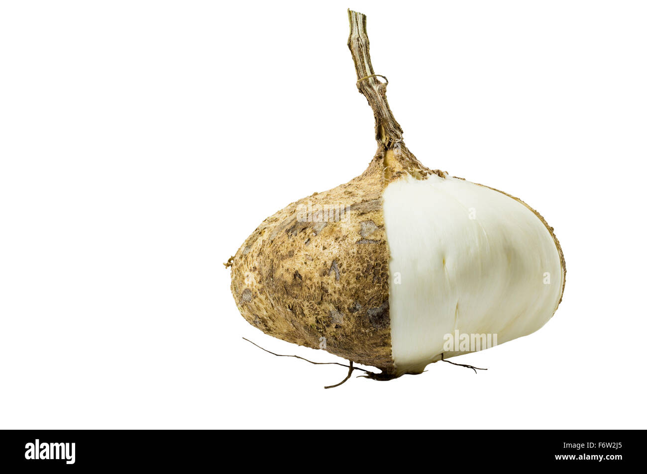 'Yam-bean' ou le Jicama fruits isolés sur fond blanc et clipping path ...