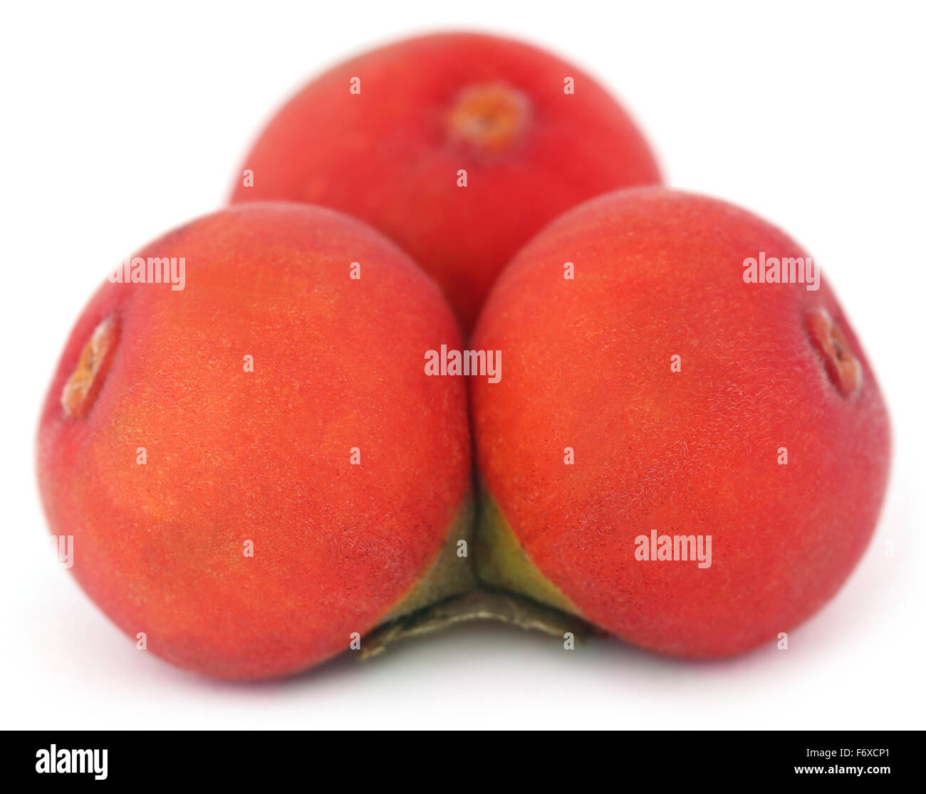 Banyan fruit Banque de photographies et d’images à haute résolution - Alamy
