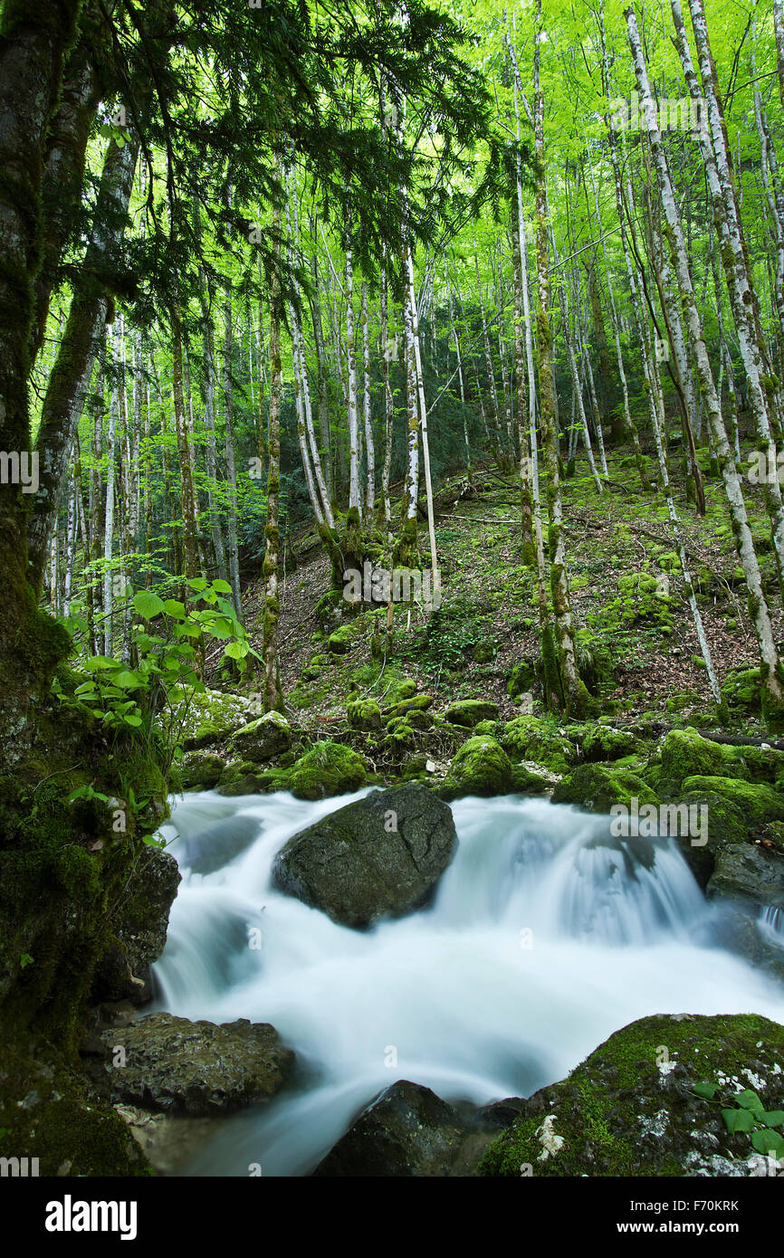 Cascade du herisson Banque de photographies et d’images à haute ...