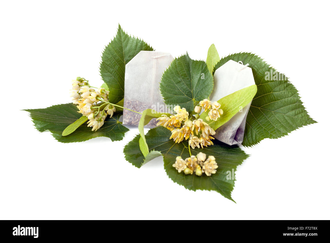 Feuilles et fleurs de tilleul isolé sur blanc avec des sachets de thé ...