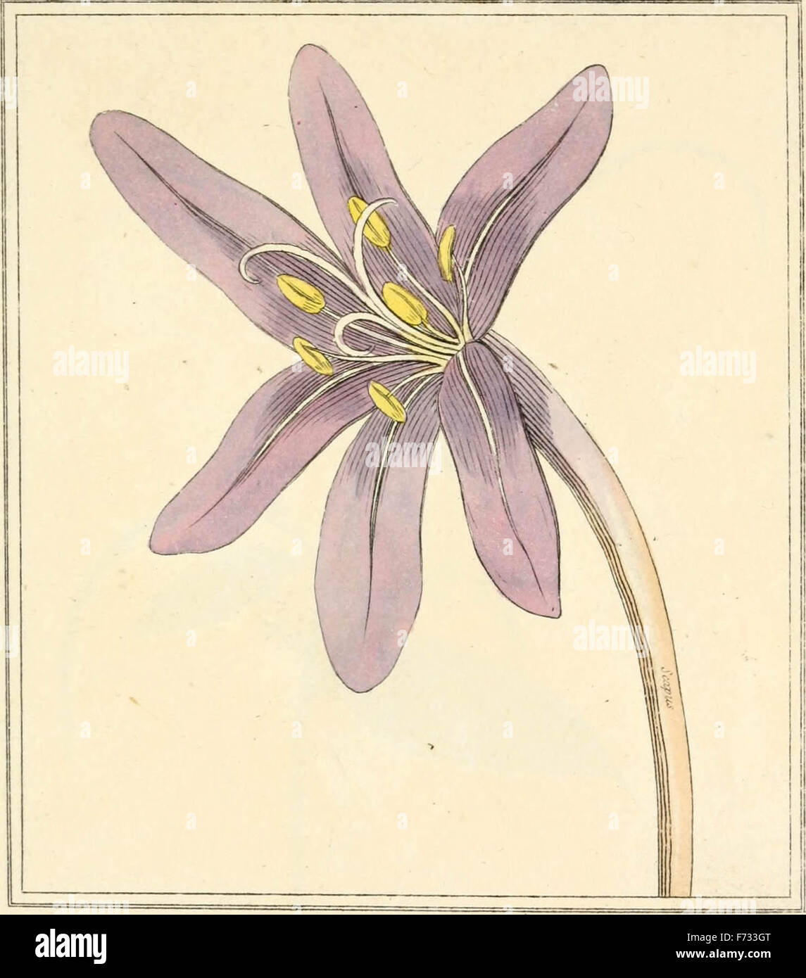 Éléments de la science de la botanique, comme établi par Linné ; avec ...