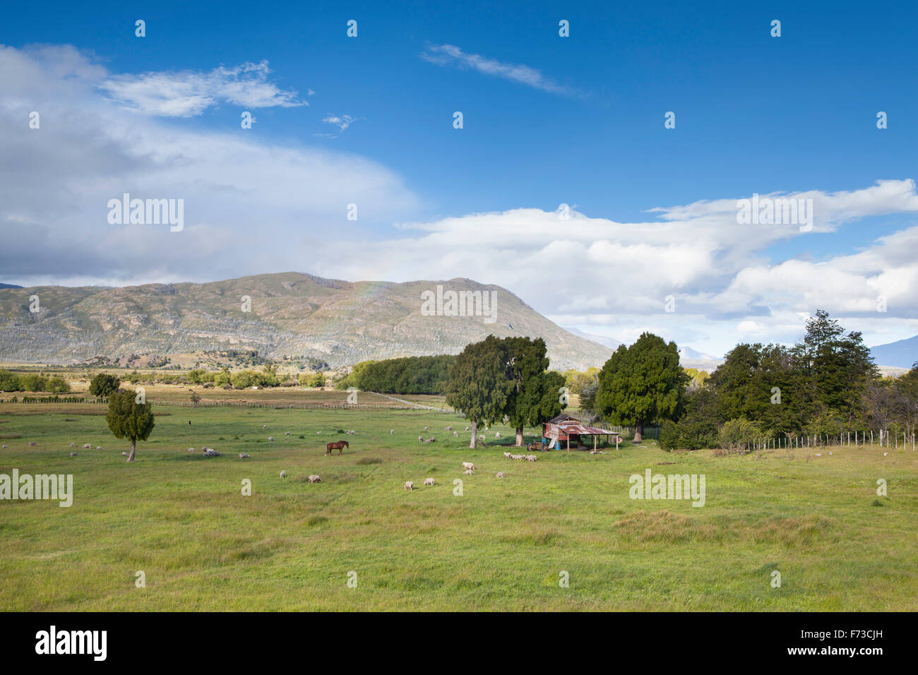 Paysage avec ferme et grand arbre Banque de photographies et d’images à ...