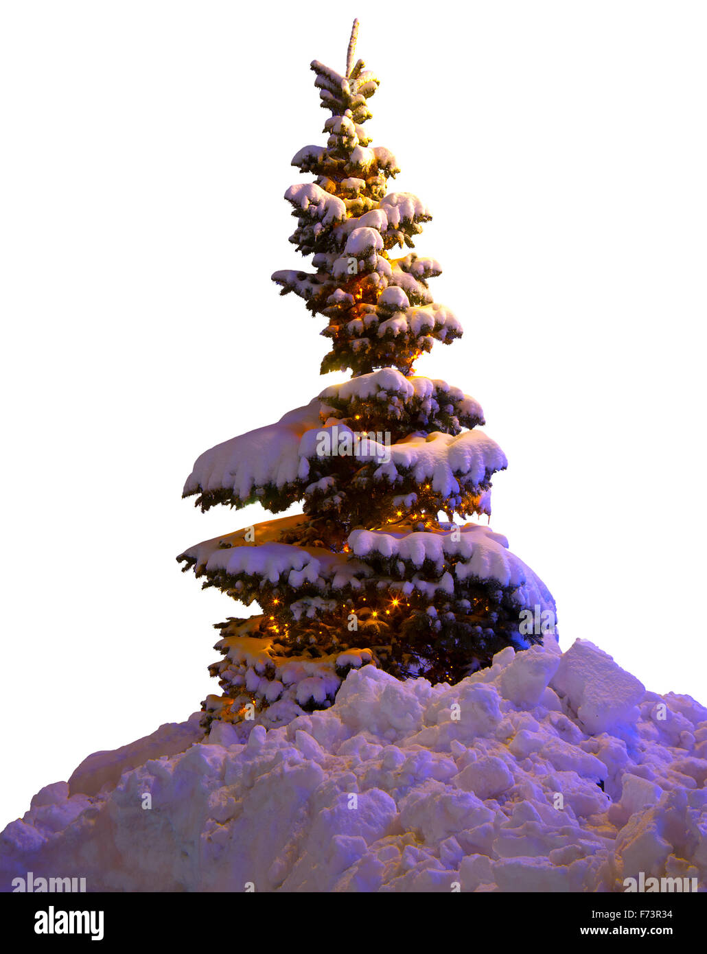 Sapins sous la neige Banque de photographies et d’images à haute ...