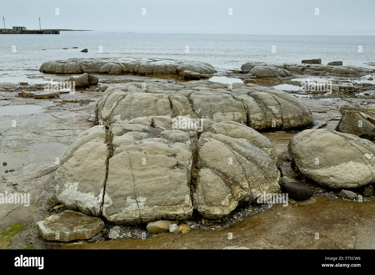 Cyanobacteria fossil Banque de photographies et d’images à haute ...