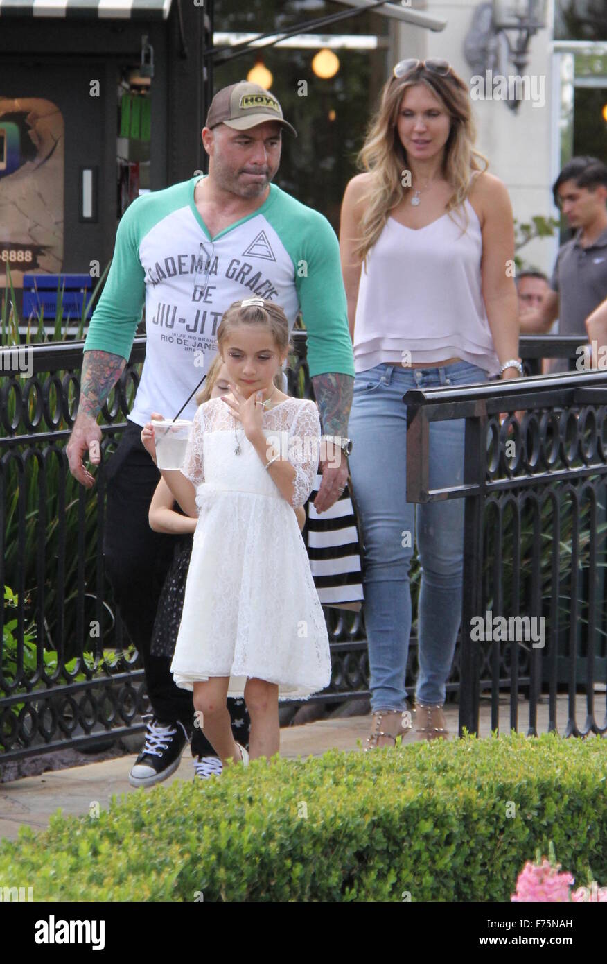 Ufc commentator joe rogan out Banque de photographies et d’images à ...