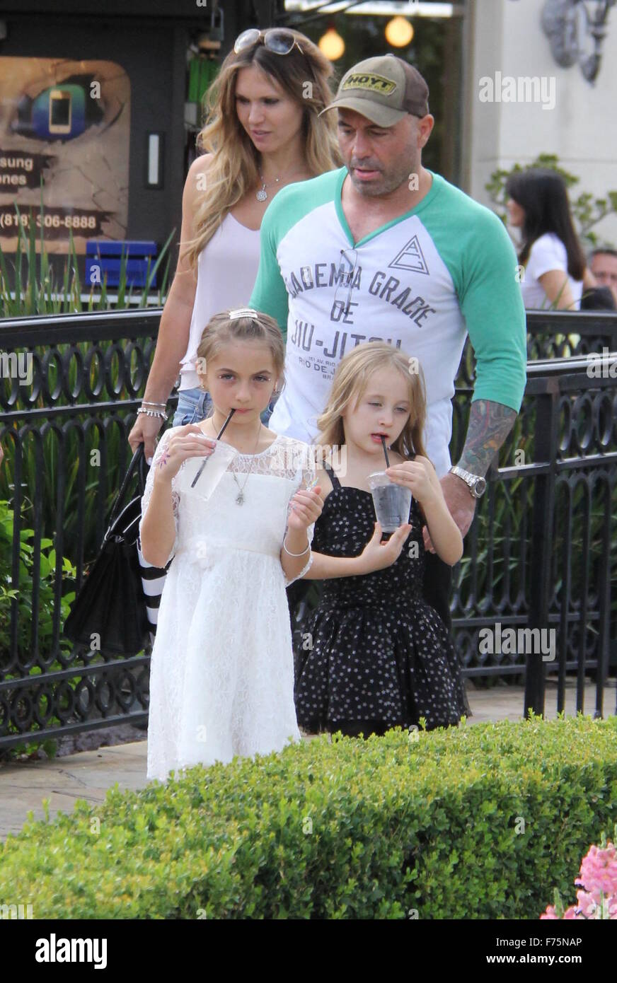 Ufc commentator joe rogan out Banque de photographies et d’images à ...