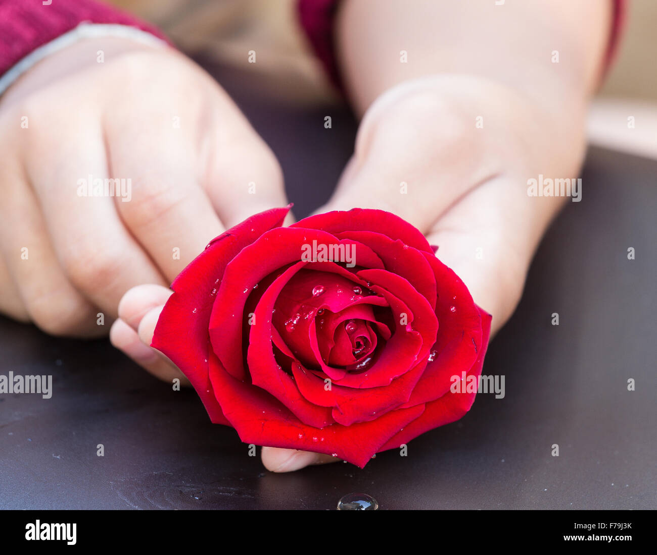 Garçon donnant un bouquet à une fille Banque de photographies et d ...