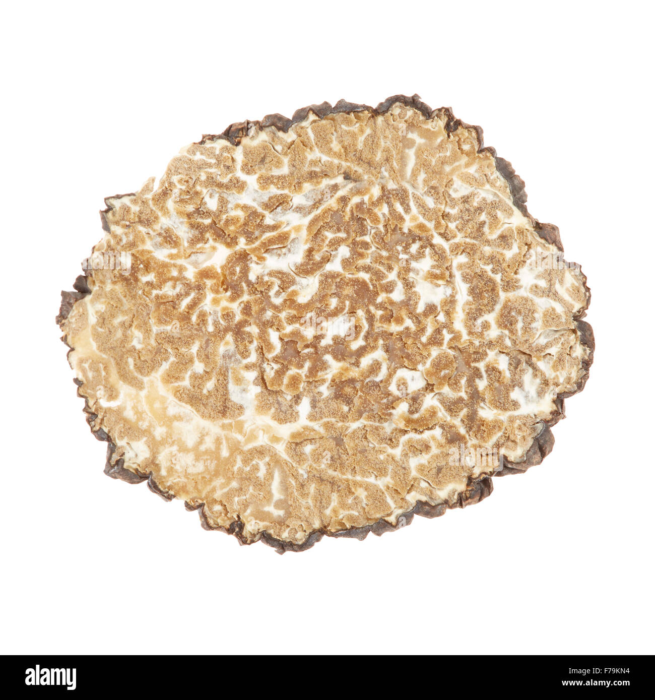 La truffe Banque de photographies et d’images à haute résolution - Alamy