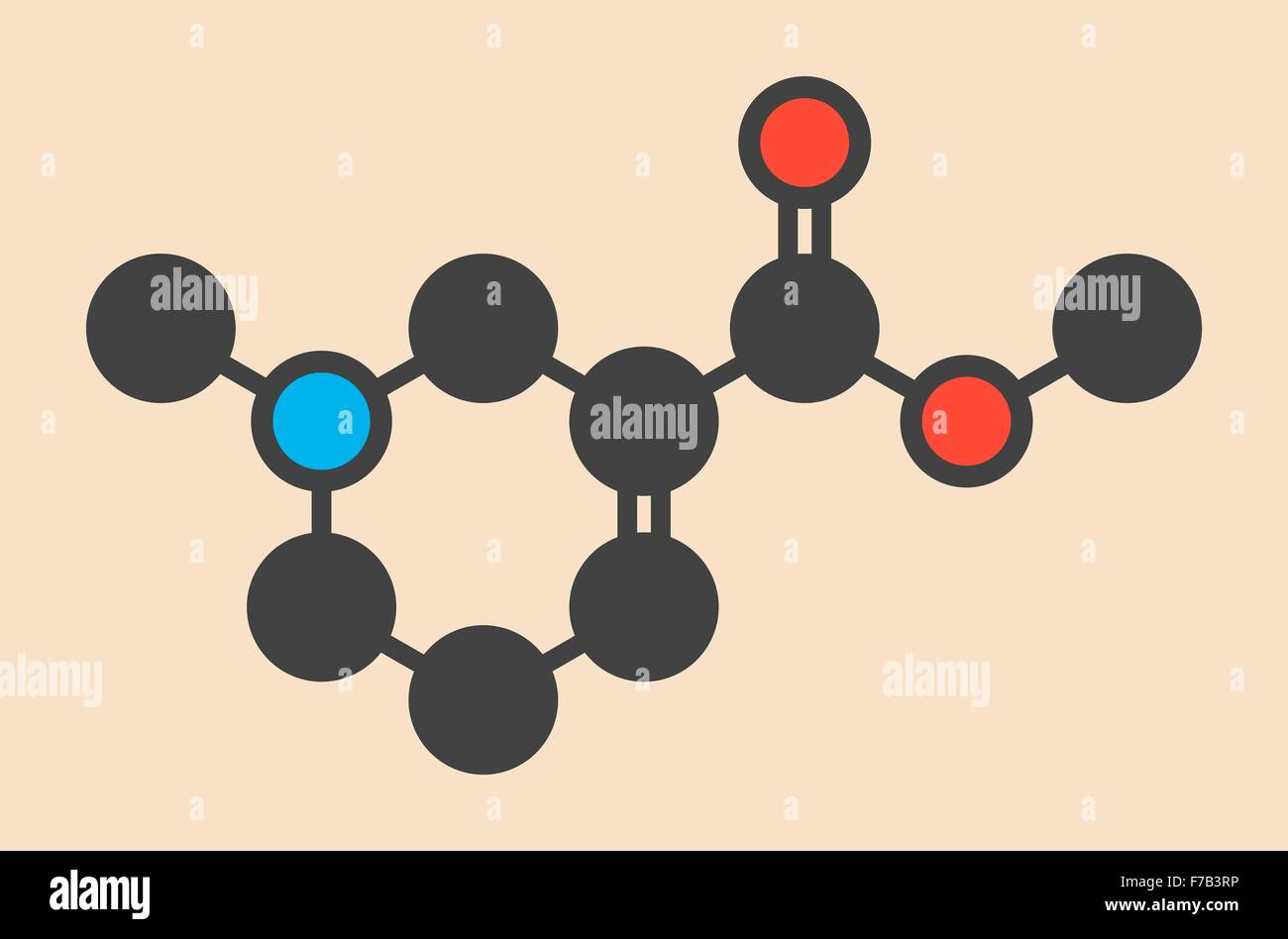 Arecoline areca nut stimulant compound Banque de photographies et d ...