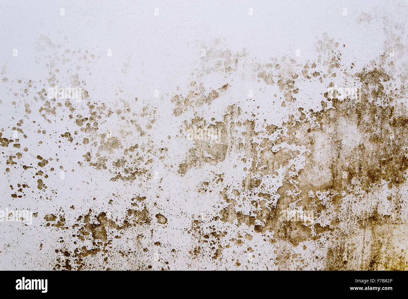 Mur sale Banque de photographies et d’images à haute résolution - Alamy