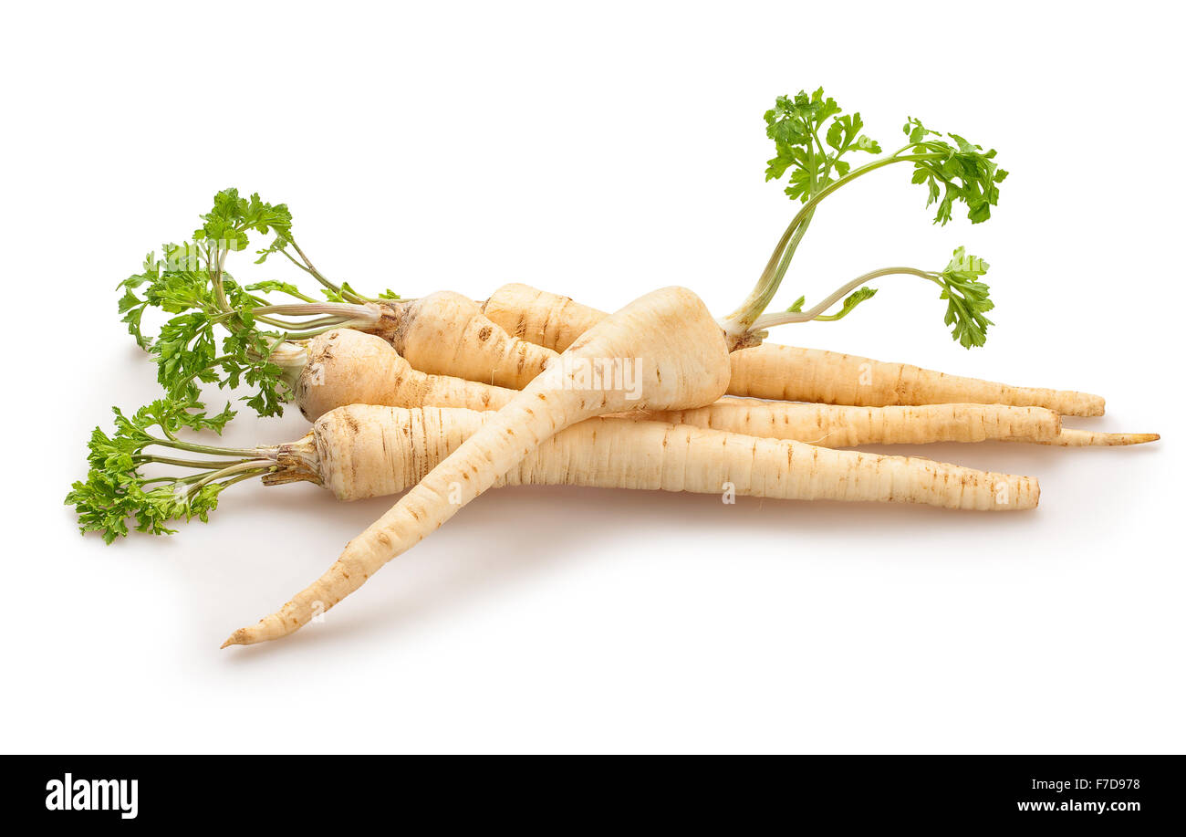 Feuilles de racines Banque de photographies et d’images à haute ...