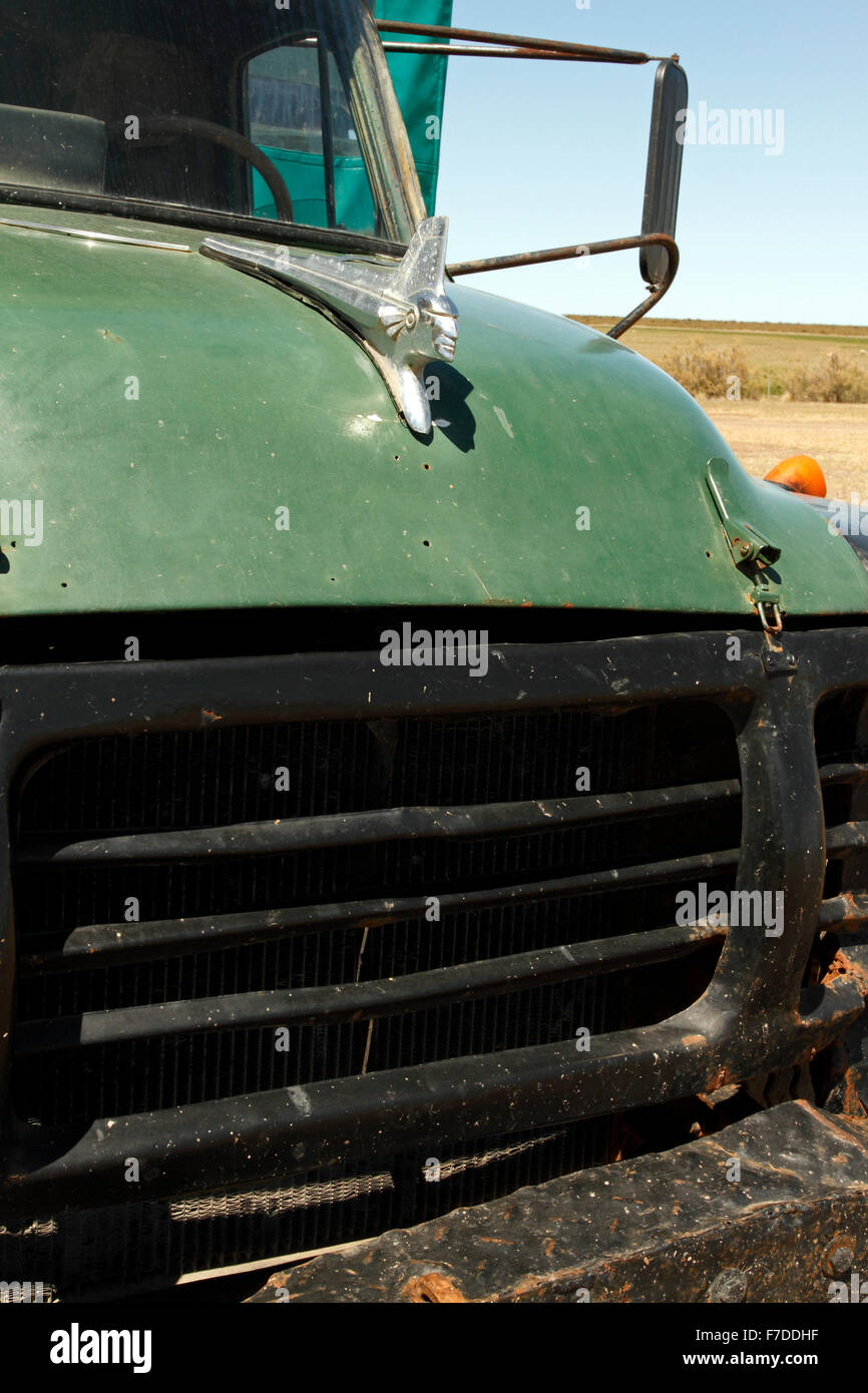 Hood ornament pontiac vintage Banque de photographies et d’images à ...