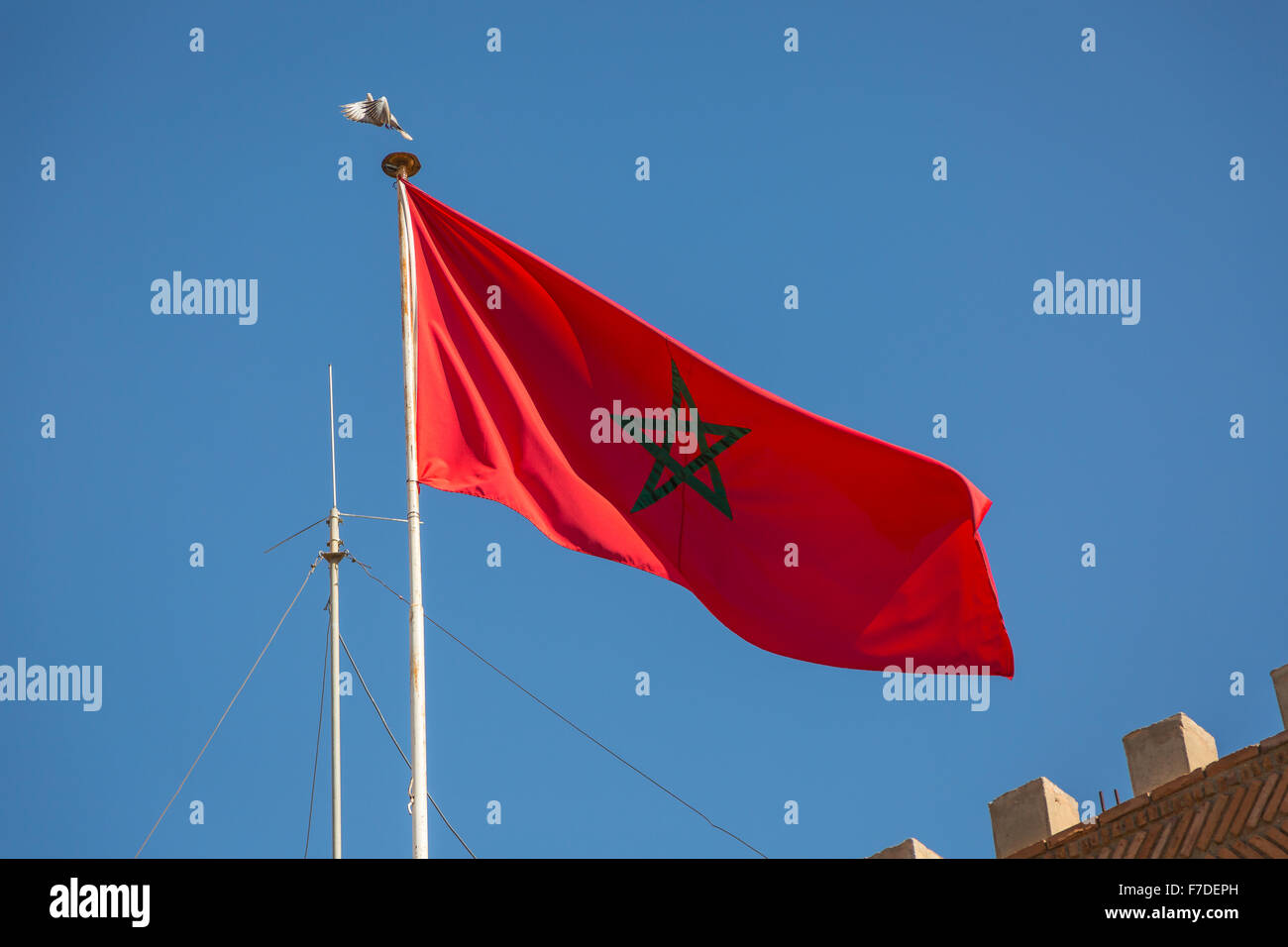 Drapeau du royaume du maroc Banque de photographies et d’images à haute ...
