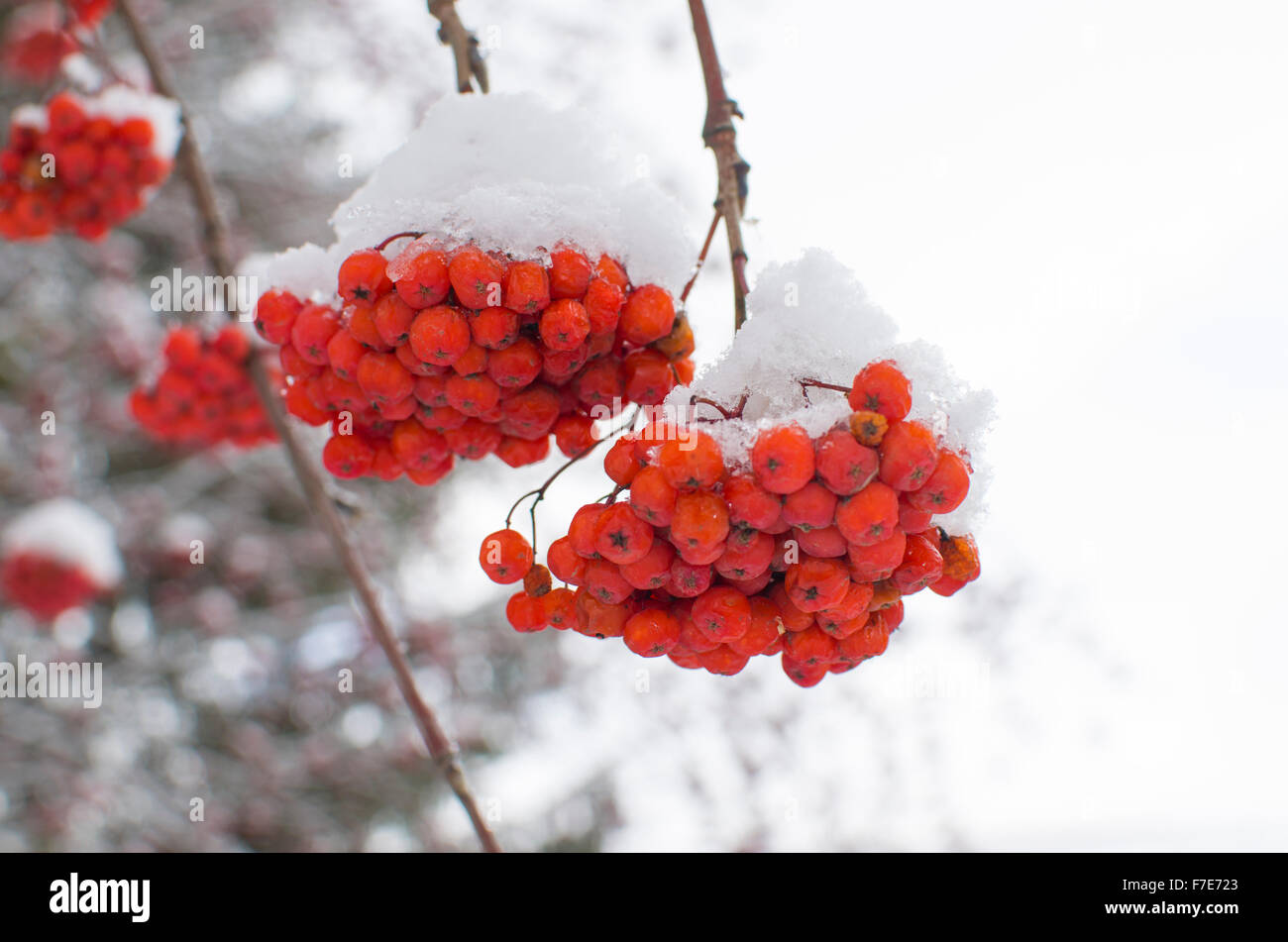 Baie à l'hiver Banque de photographies et d’images à haute résolution ...