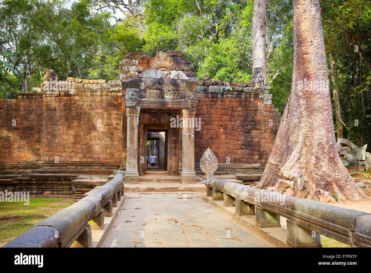 Ta phrom jungle temple Banque de photographies et d’images à haute ...