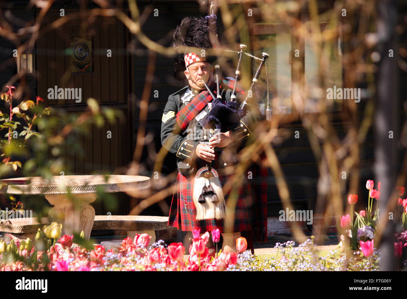Cornemuseur jouant de la cornemuse Banque de photographies et d’images ...